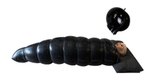 Inflatable Latex Cocoon – Kenze